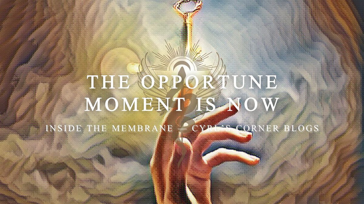 The Opportune Moment Is Now. Inside the Membrane — Cyrl’s Corner’s ...