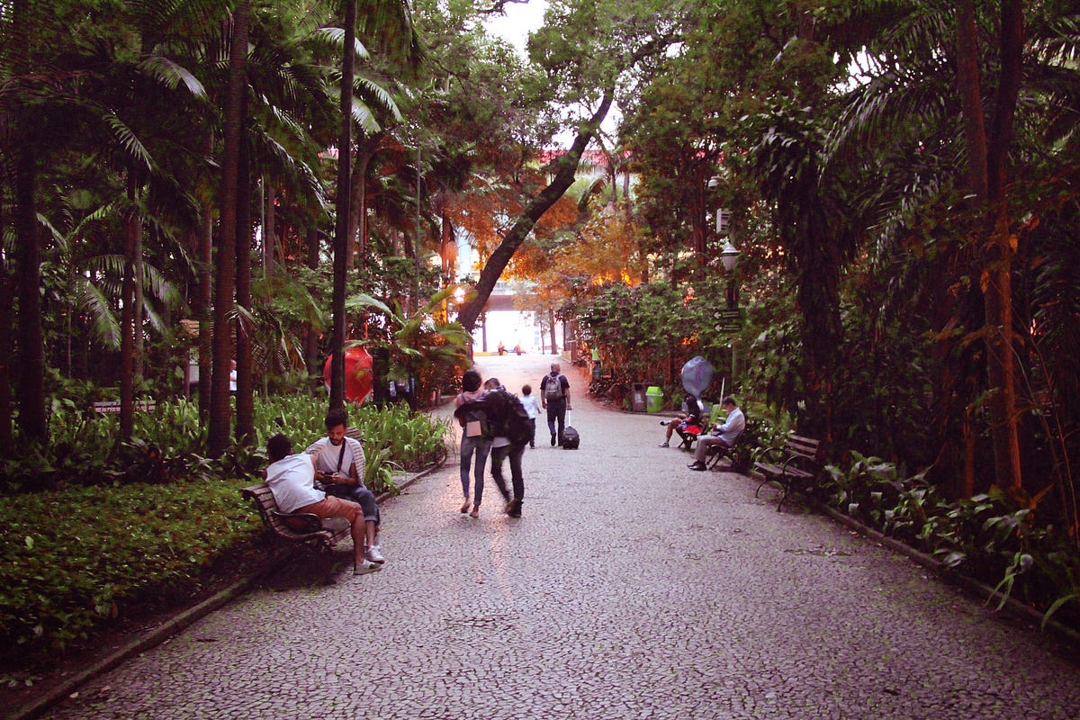 Parque Trianon. O Parque Trianon (Tenente Siqueira… | by Apê11 | Medium