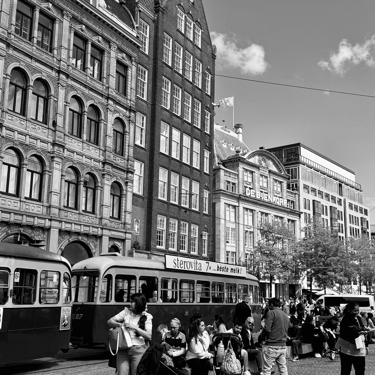 Normality - Ann - Medium