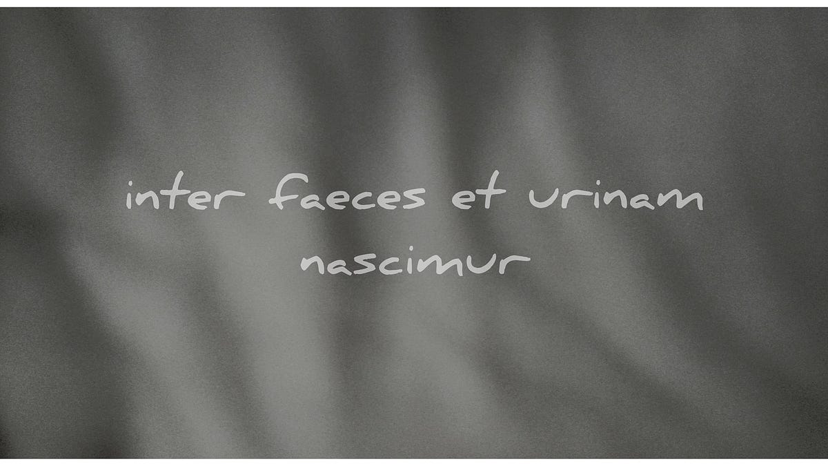 { INTER FAECES ET URINAM NASCIMUR } | by Bárbara Piazza | Medium