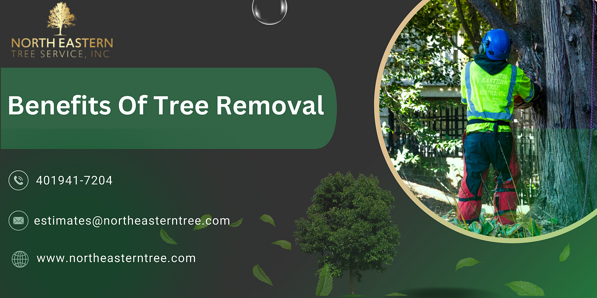 Benefits Of Tree Removal. Tree Removal in MA refers to cutting… | by North Eastern Tree Service ...