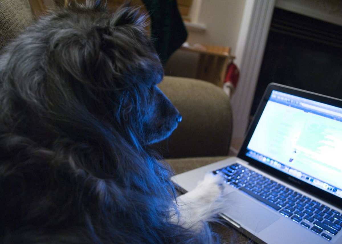 How tech startups test, organize, and review their code | by ...