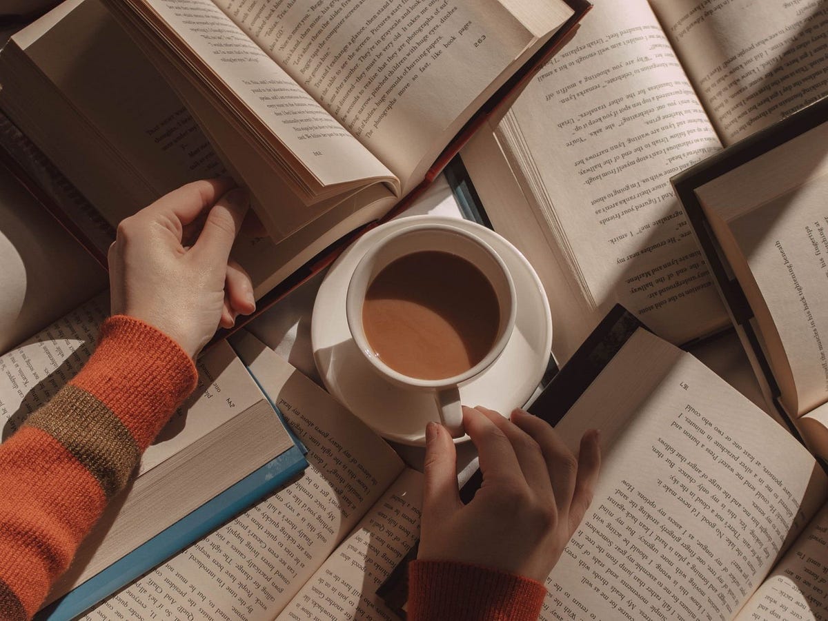 BOOK AS COMPANIONS ARE BETTER THAN PEOPLE!! | by BAREERA | May, 2025 ...