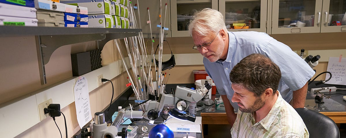 Do I Know You? Where Have We Met? | by Cornell Research and Innovation ...