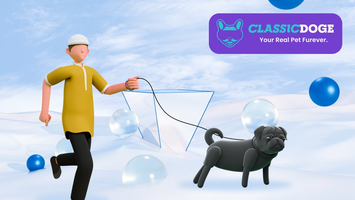 The Metaverse Pet heaven. Enter the multi-metaverse world with a… | by ...