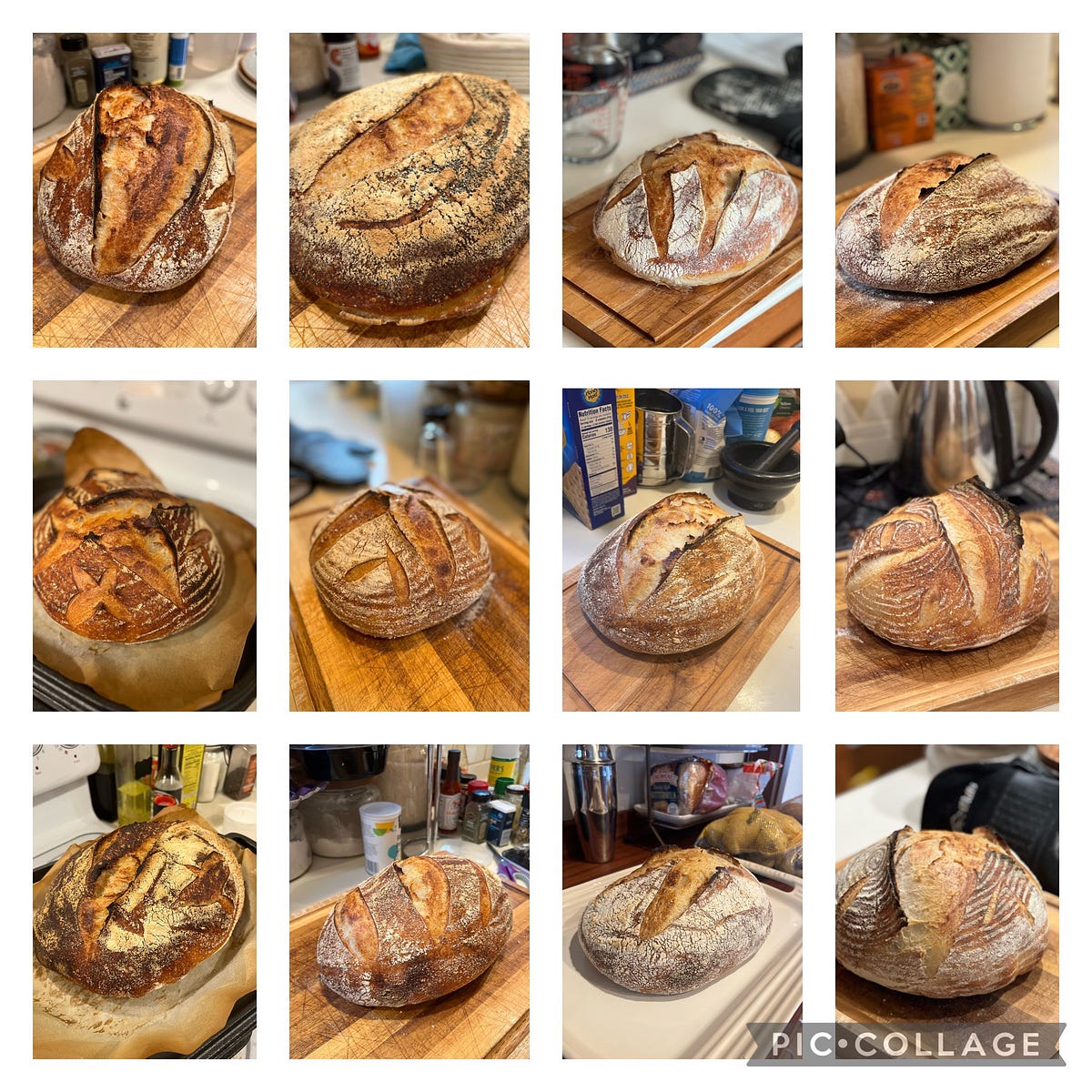A Year of Sourdough: How I Committed to Baking a Loaf Every Month | by ...