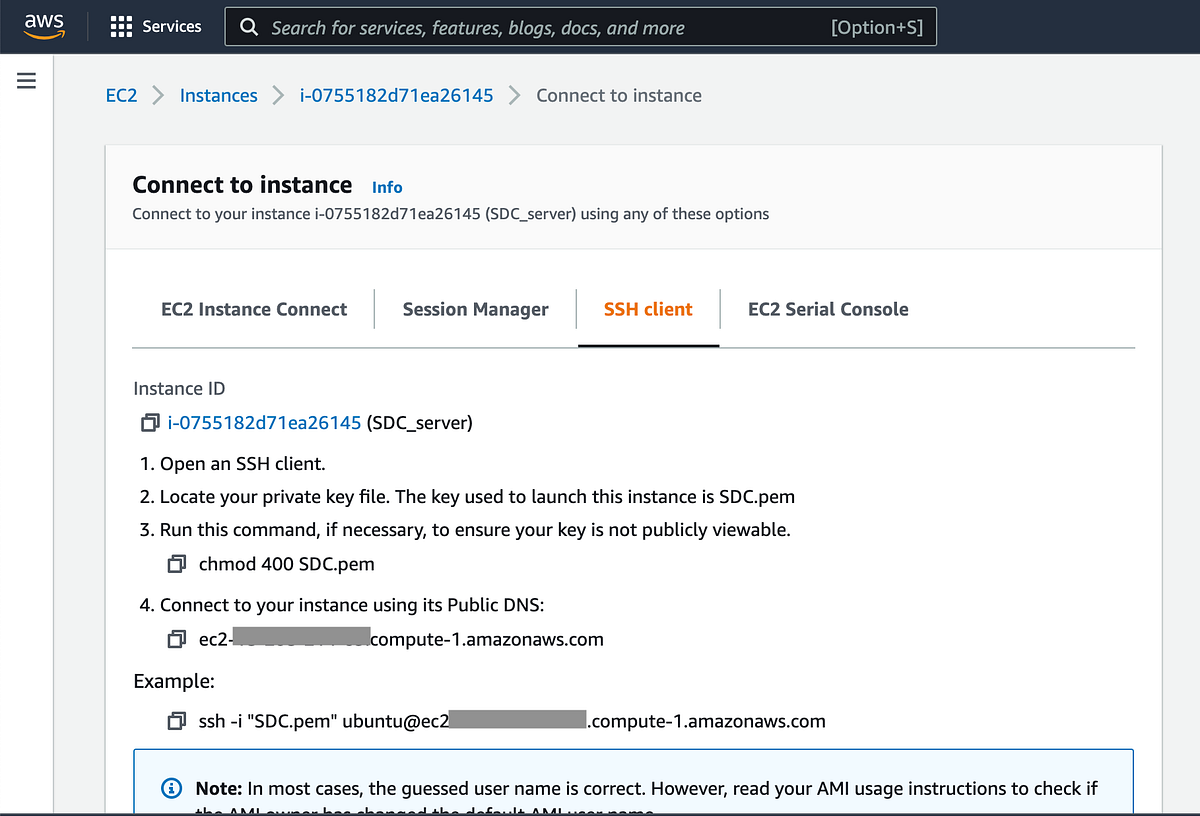 Creating and Deploying an EC2 Instance for Your Server | by the-trash-panda | Medium