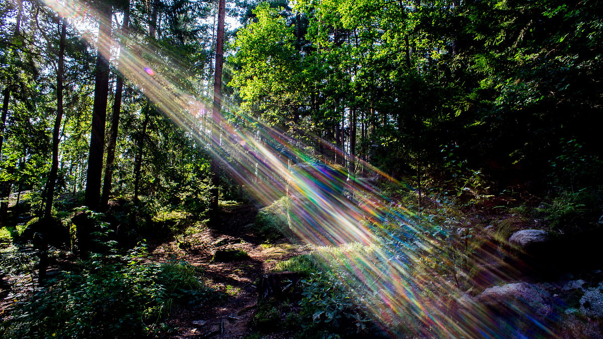 The Deep Yes. And The Goddess Who Danced Me Back to… | by Joy Lynn ...