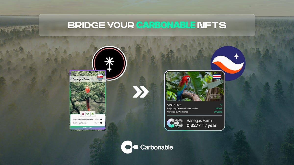 How To: Bridge your Carbonable NFTs from Juno to StarkNet | by ...