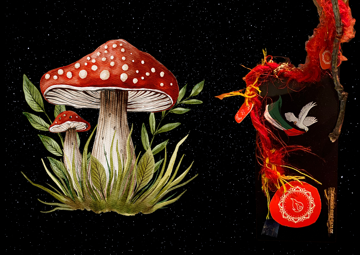 Psychedelic Strategies of Social Resistance | by Rosa Ray Wxtch | Oct ...