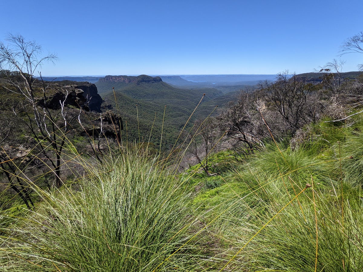 Australian Morning - Wandering Aengus - Medium