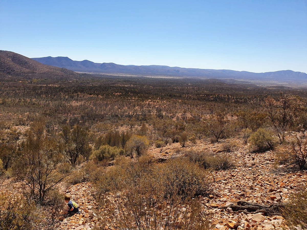 Iga Warta and Marree. The next stage of our trip is in the… | by ...