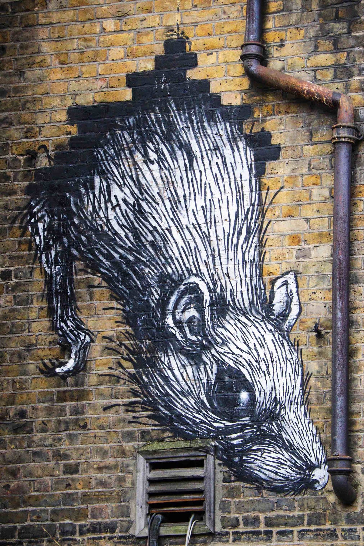 Our Modern Society Was Modeled in the 60s — With Rats | by Glen Hendrix ...