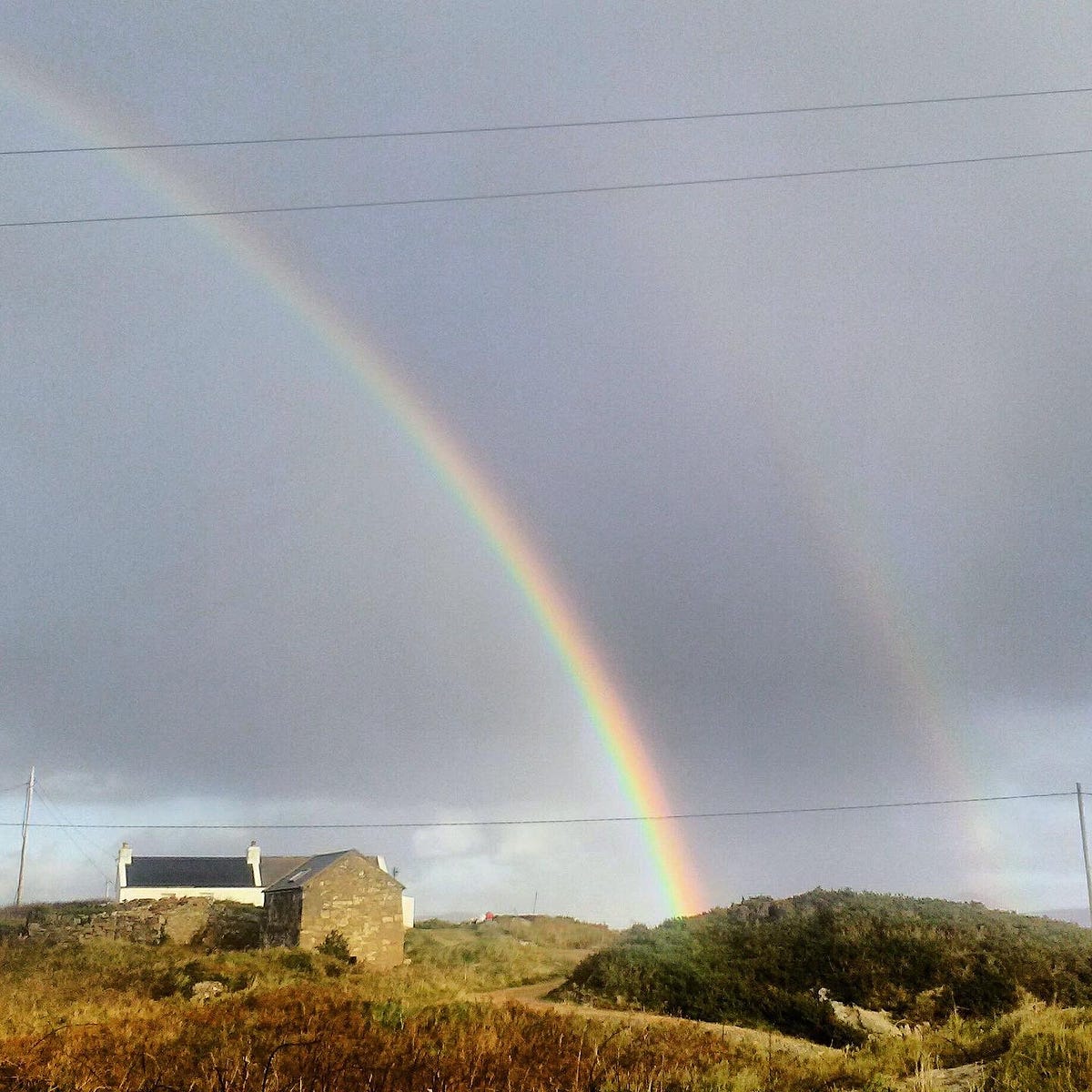 Rainbow - Liz Doyle - Medium