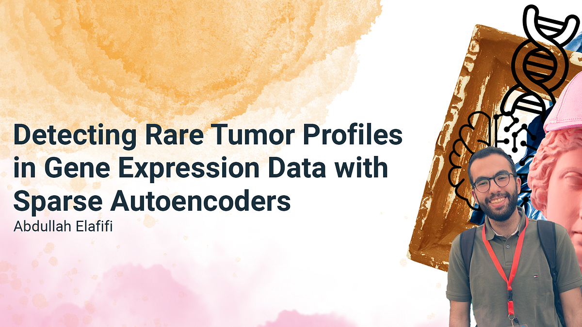 Detecting Rare Tumor Profiles in Gene Expression Data with Sparse Autoencoders | by Abdullah ...
