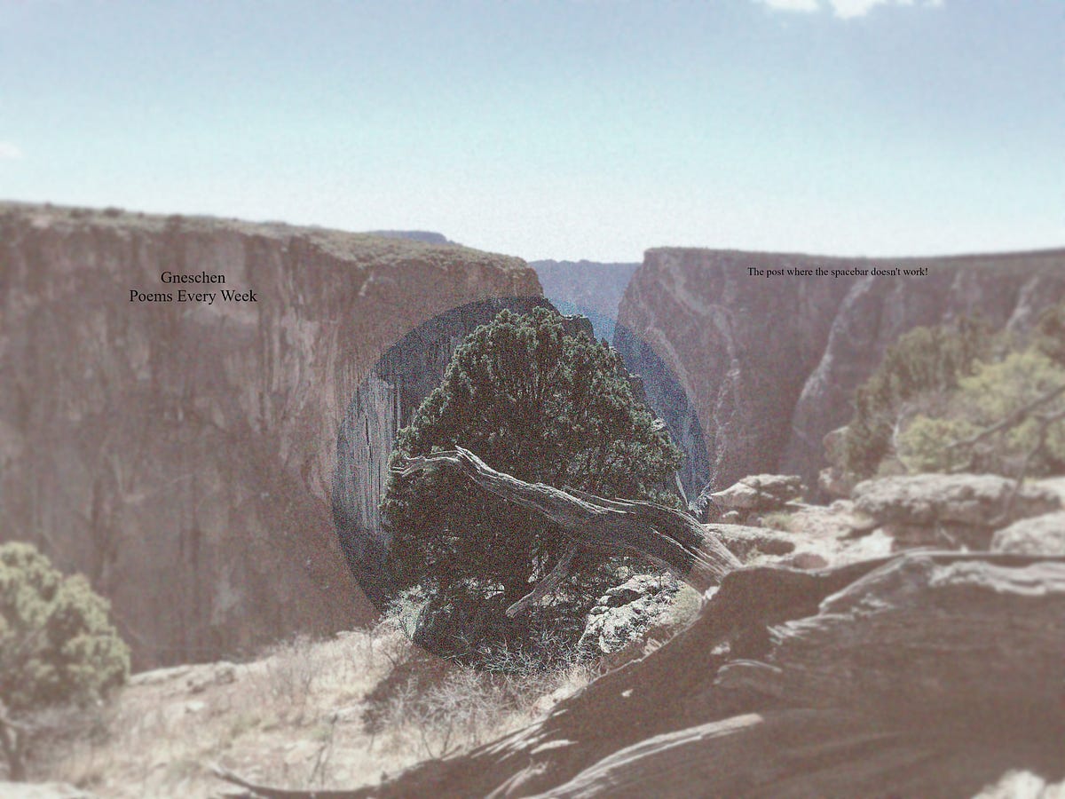 Poems for the Week 2/6: Two Random Poems - Gneschen - Medium