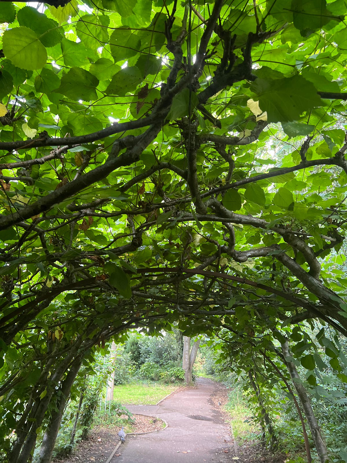 We grow, just like the seasons change - Macey - Medium