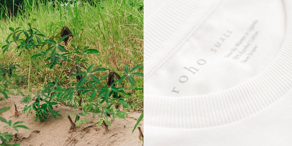 A Tree for a Tee: Roho’s Commitment to Sustainability | by Roho Apparel ...
