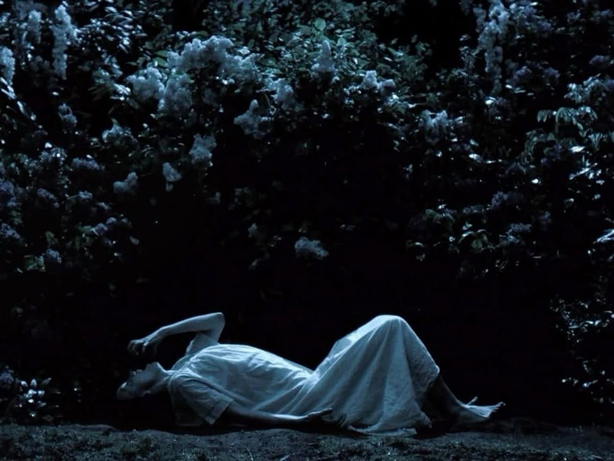 Came for Vampires, Went Home and Ate All the Garlic Just to Stay Ten ...