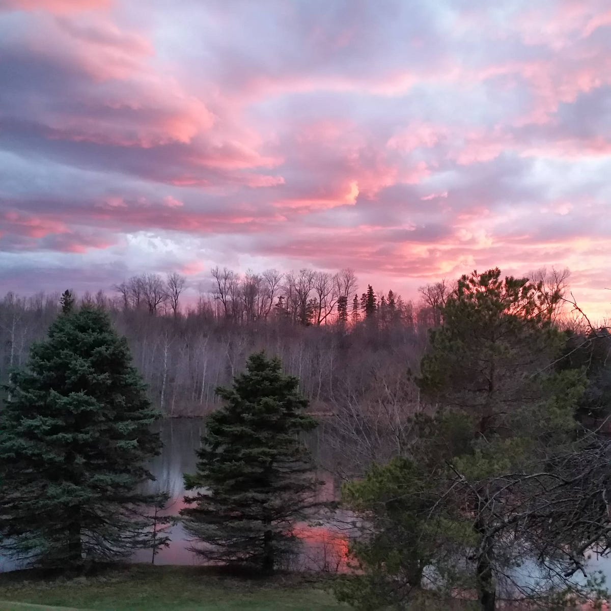 Cultivating Gratitude Day???. A glorious, awesome, beautiful sky and ...