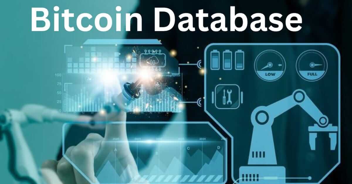 Bitcoin Database: A Comprehensive Guide” | by Cryptophillia (CP) | Jun, 2023 | Medium