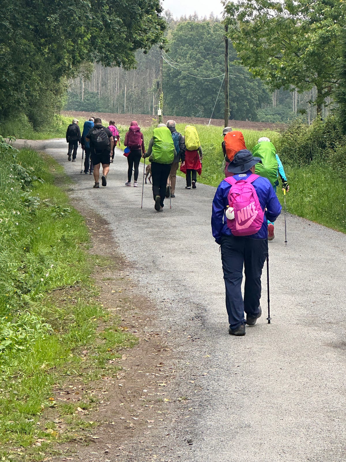 Lonely Paths No More. On May 16th we arrived in Sarria… | by Lee Butler ...