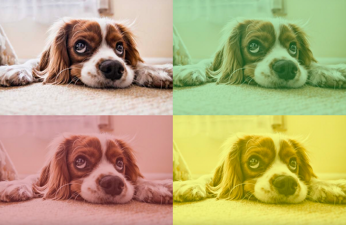 Color-Play with Images — Processing | by Shruti Raghava | Medium
