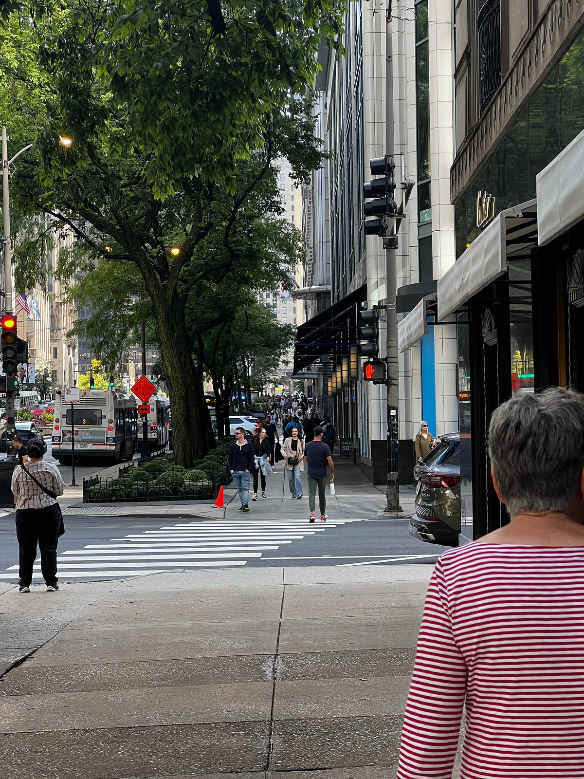 Becoming A Part of the Flood: A Walk Around Magnificent Mile and ...