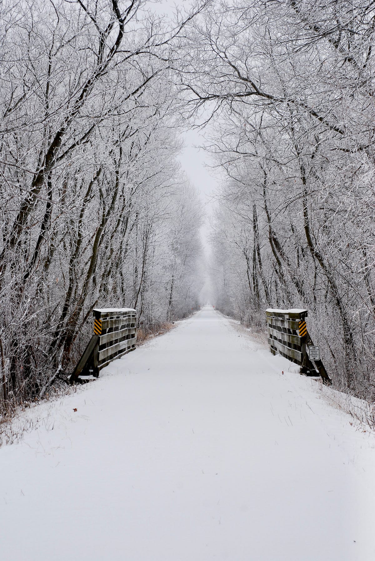 Blank Slate. Or is it Blank Canvas? | by Lisa Radwan | Medium