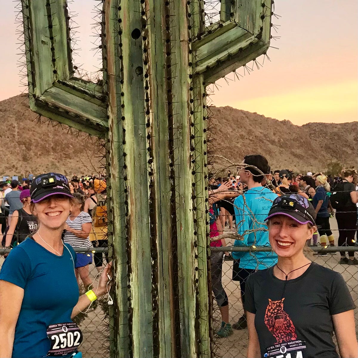 Joshua Tree. A tale of the desert, a ditch, and a… | by Elaine ...