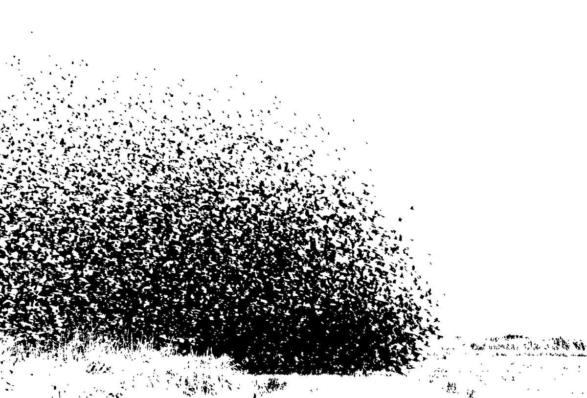 Swarming: A Team-based Approach to Getting Work Done | by Philip Rogers ...