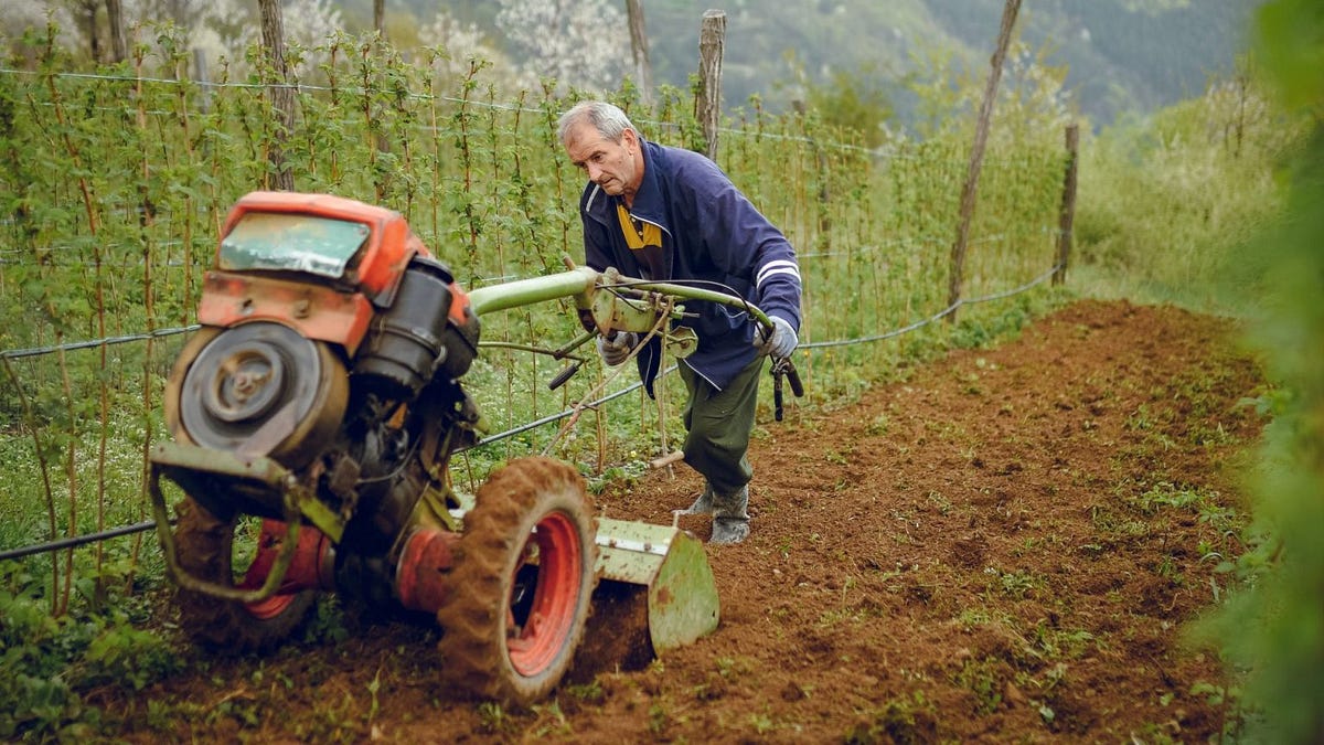 Rear Tine Tiller: Your Ultimate Gardening Companion | by Robert A ...