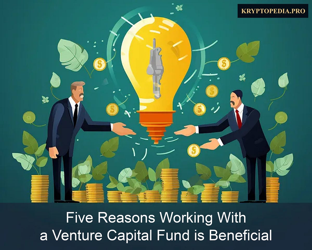 Five Reasons Working With a Venture Capital Fund is Beneficial | by ...