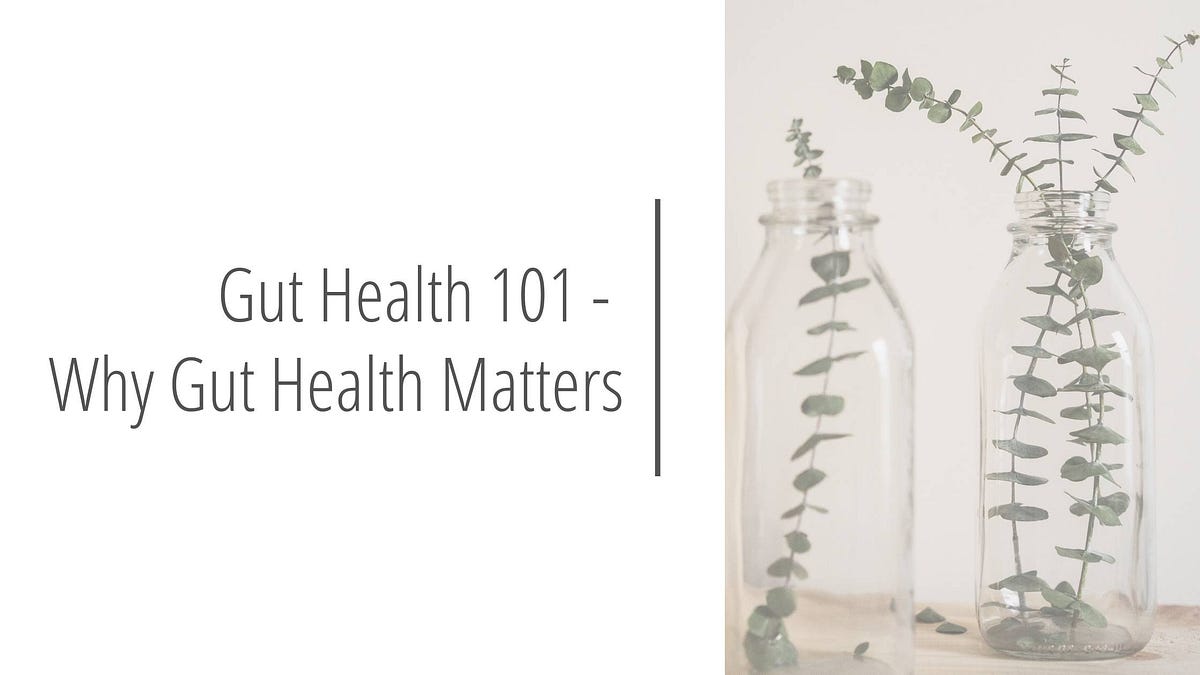 Gut Health 101 — Why Gut Health Matters | by Rachel Beiler, MHS, RD ...