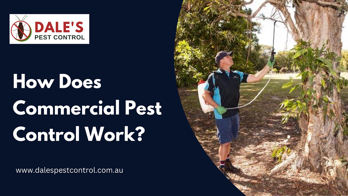How Does Commercial Pest Control Work? | by Dale's Pest Control | Medium