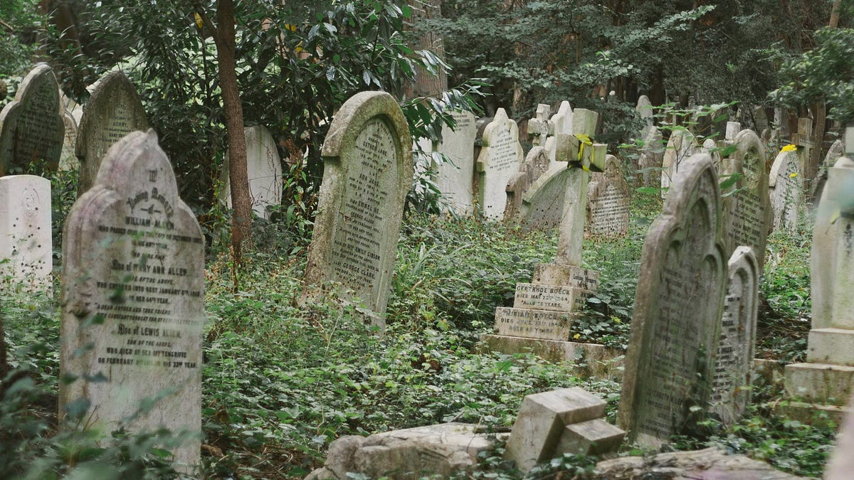 The Strange Story of The Watford Vampire | by William Docherty | Medium