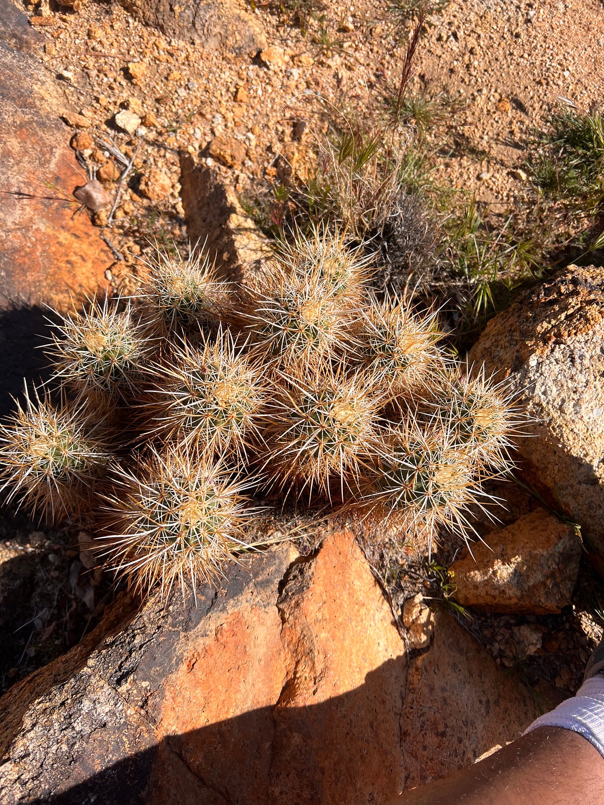 Contemporary Desert Blues/ Pt. 5 | by MAKESHIFT | Medium