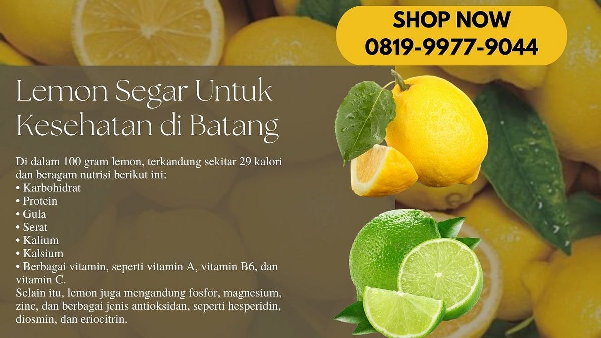 Lemon Segar Untuk Kesehatan di Batang Call/WA 0819–9977–9044 | by ...