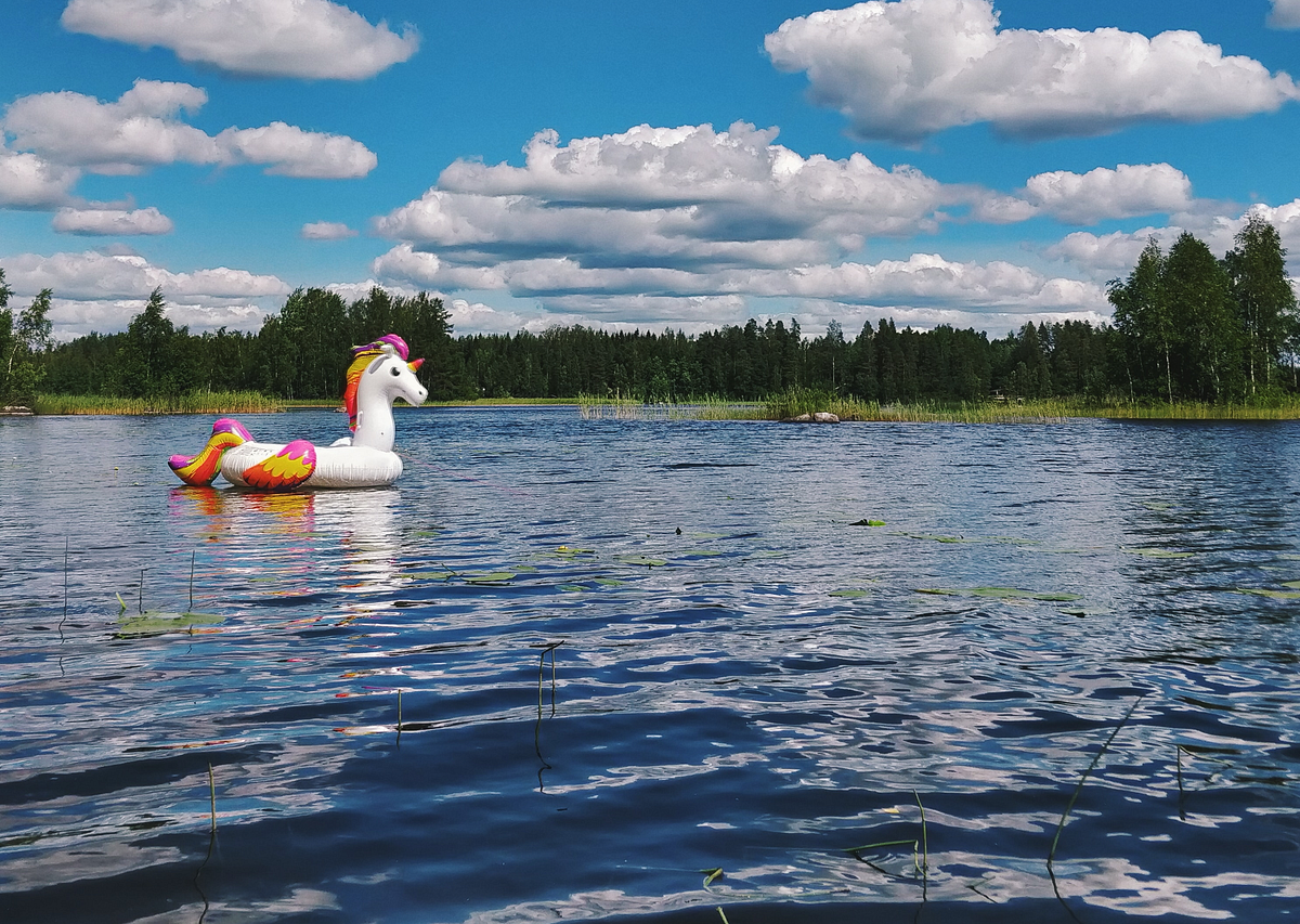 The Unicorn Content Model: From 0 to 1,000,000 Fans | by Ian Kerins ...