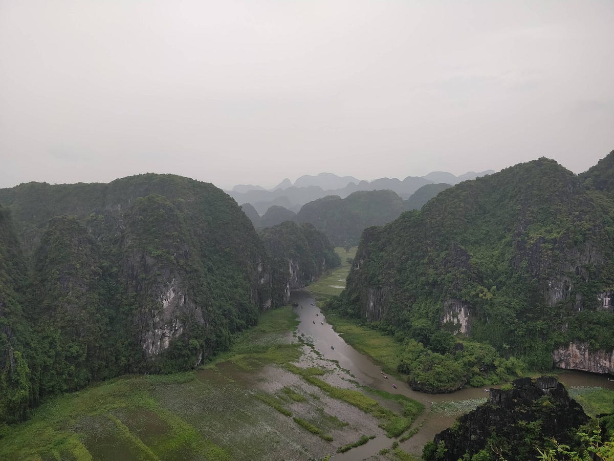 Beginner’s Course to ‘Basics of Life' | by Torsha Banerjee | Medium