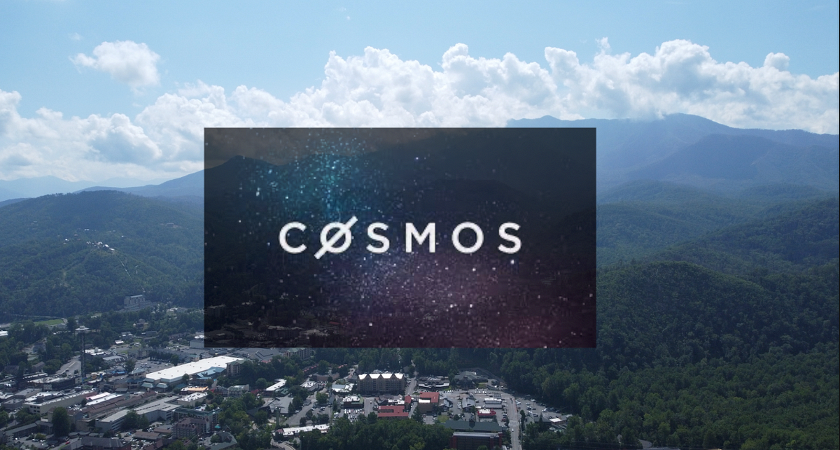 Should You Buy Cosmos?. In my opinion Yes and here is why. | by Nick Sokol, PhD | CryptoStars ...