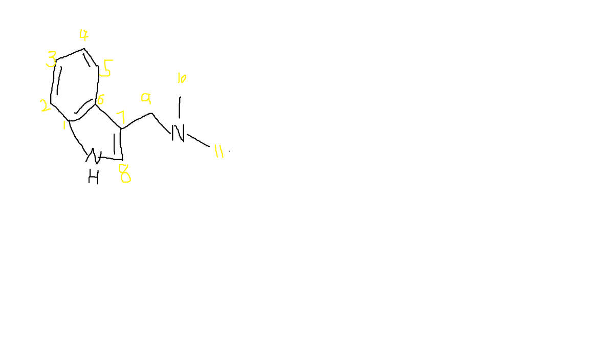 DMT (dimethyltryptamine). ) DMT has 11 carbon atoms ( a type of… | by ...