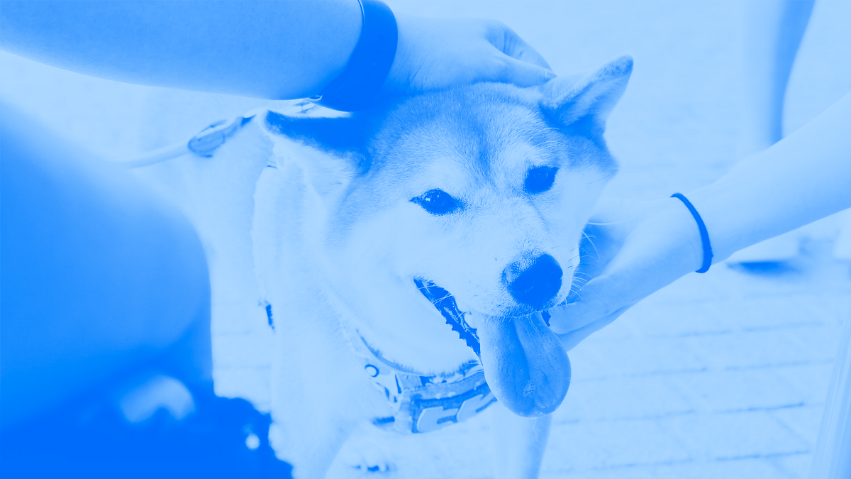 How to Interpret the Rise of Dogecoin (DOGE)? | by Blockchain.com ...