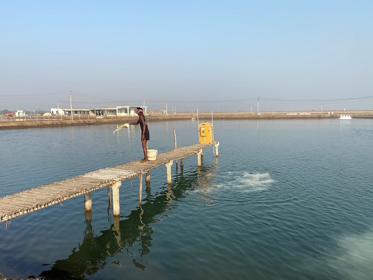 Integrated Solutions for Aquaculture Skretting India has consistently ...