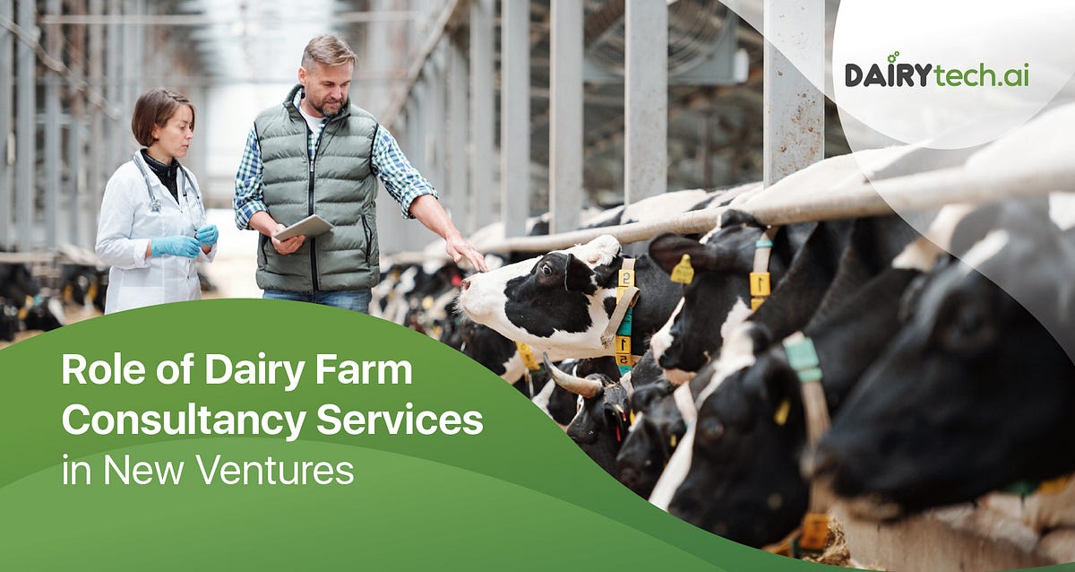 Role Of Dairy Farm Consultancy Services In New Ventures | by dairytech ...