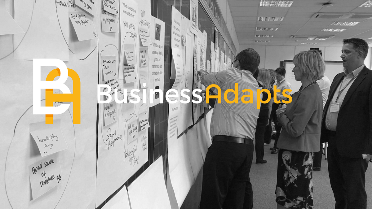 The BusinessAdapts Story. On 27th December 2016 I launched my new… | by ...