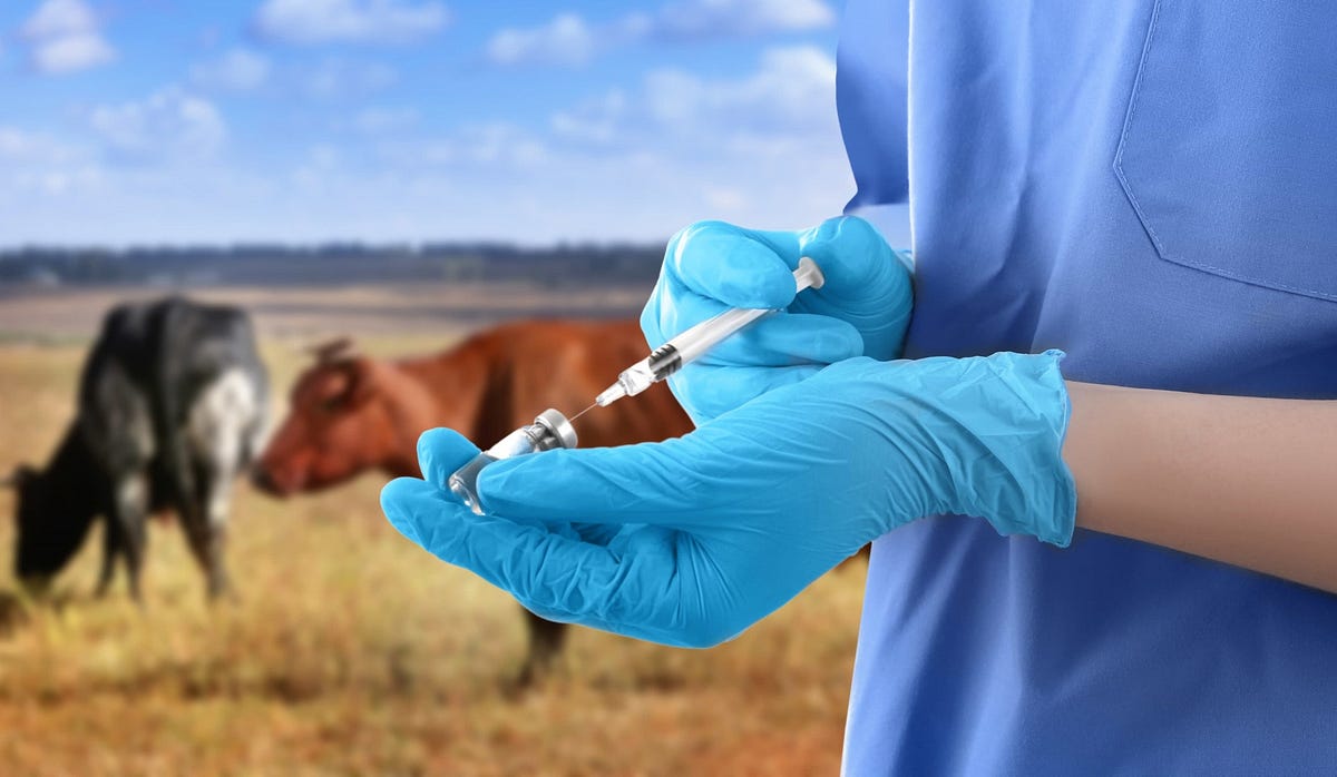 Animal Healthcare is driven by rising pet ownership | by Purvaja Jadhao ...