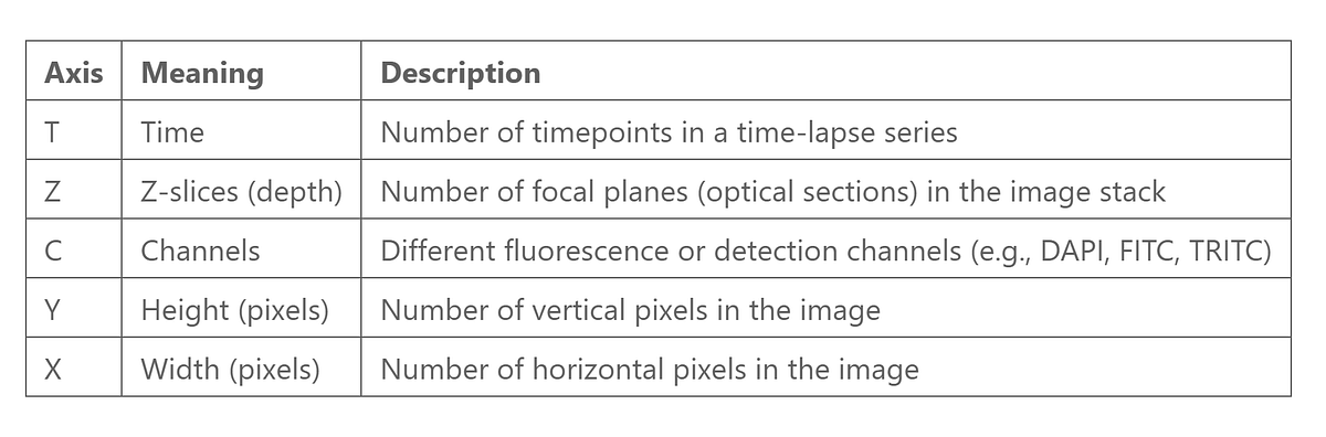 Working with proprietary microscopy image files (.lif) in python for (Bio)Image analysis | by ...