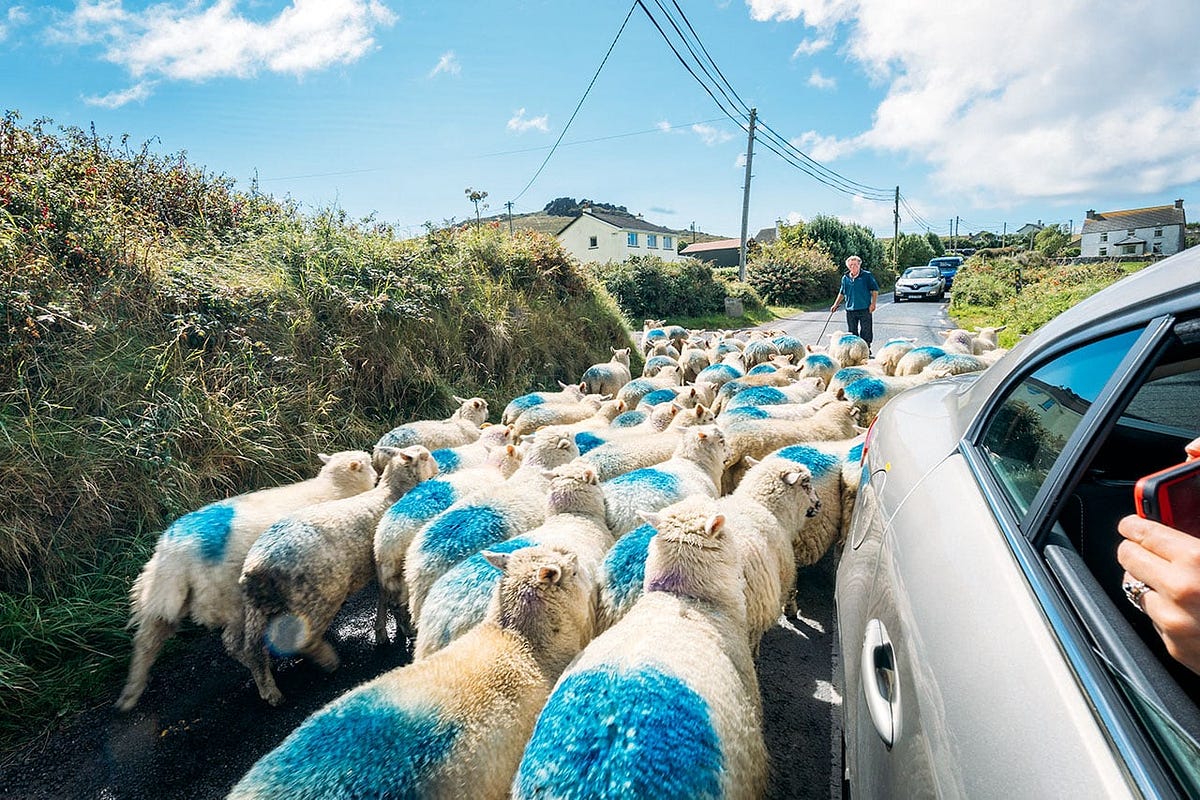 Overcoming the Challenges of Rural and Urban Driving in Ireland | by ...