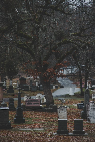 The Graveyard. Photo by Zach Lezniewicz on Unsplash | by Justine Jacob ...
